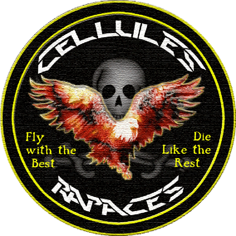 Histoire - Cellules Rapaces